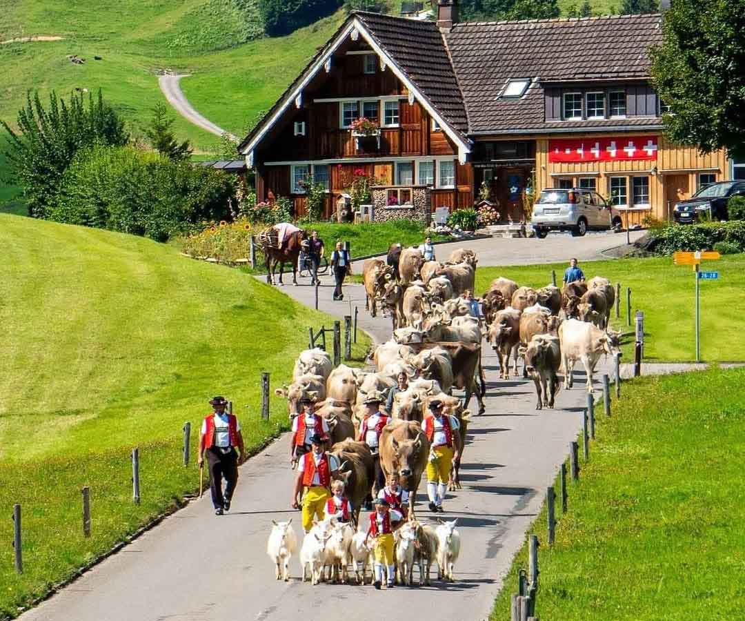 Swiss Customs & Traditions a clear list